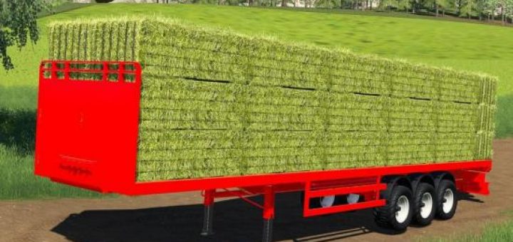 Remorca Auto v1.0 FS19 - FS22 Mod / F19 Mod