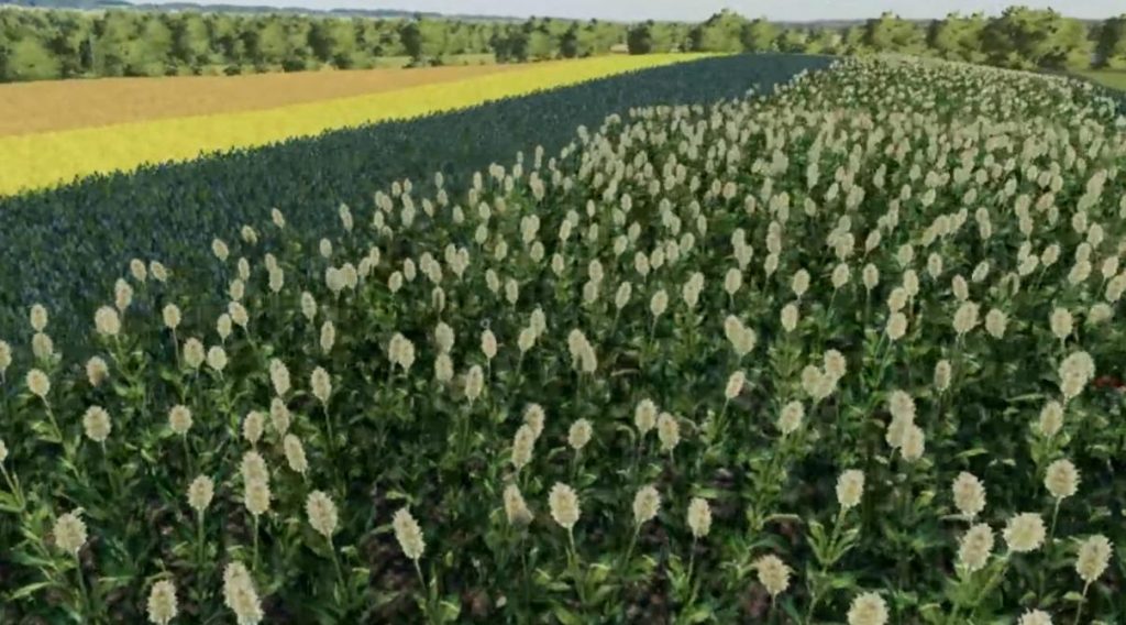 CloverCreek plus12crops v1.0.0.3 FS19 Mod | FS25 Mods / FS22 Mods