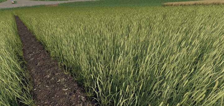 FS19 les textures | FS19 Mods | Farming Simulator 19 mods