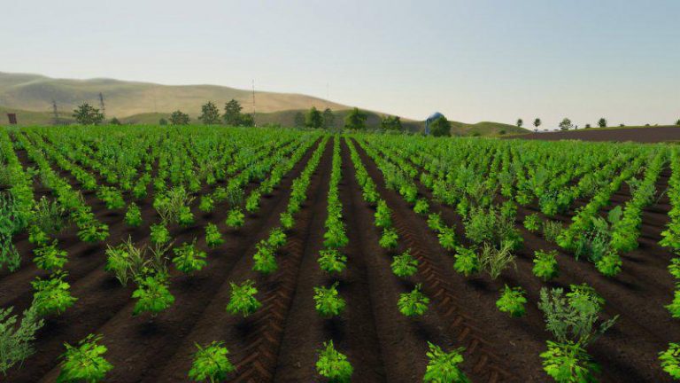 OBSYPNIK UDIM PACK 3 et 5 v1.0 FS19 - FS22 Mod / F19 Mod