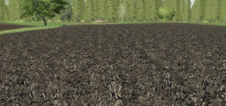 FS19 les textures | FS19 Mods | Farming Simulator 19 mods