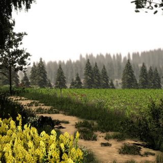 Ostrowitko v2.0.2 FS19 Mod | FS25 Mods / FS22 Mods