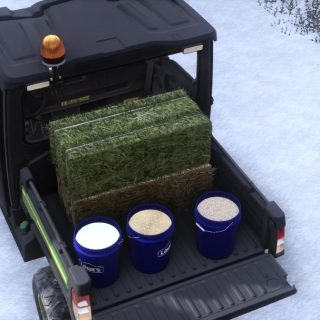 Autumn Oaks: DFMEP La mise à jour des cultures v1.0.3 FS19 Mod | FS25 ...