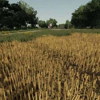 FS22 Destruction de chaume v1.0.0.0 Mod | FS25 Mods / FS22 Mods