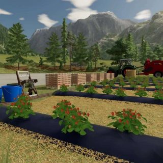 FS22 Fraises de plein champ v1.1.1.2 Mod | FS25 Mods / FS22 Mods