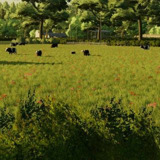 Carte BallySpring FS22 v1.2.0.0 Mod | FS25 Mods / FS22 Mods