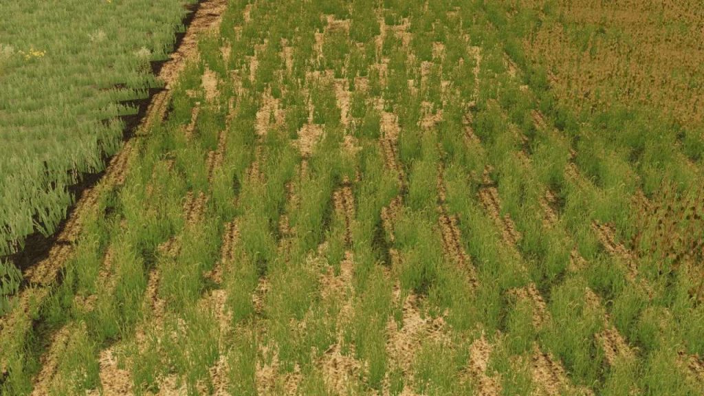 FS22 Graystone Farm (prêt pour les cultures en rangs) v1.0.0.0 Mod ...