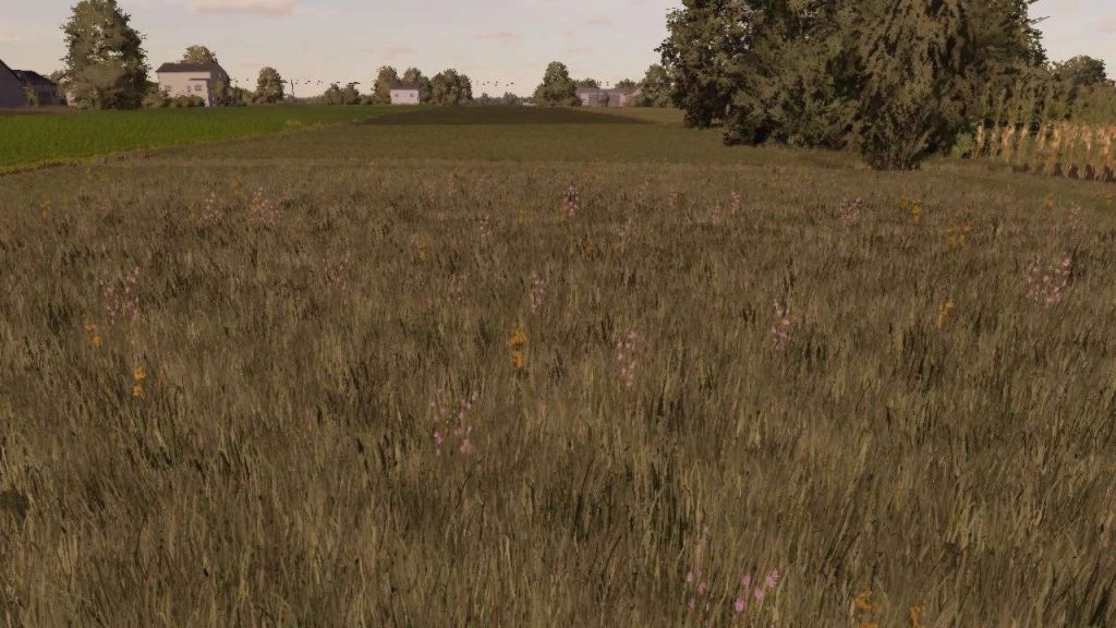 Texture de prairie FS22 v1.0.0.0 Mod | FS25 Mods / FS22 Mods